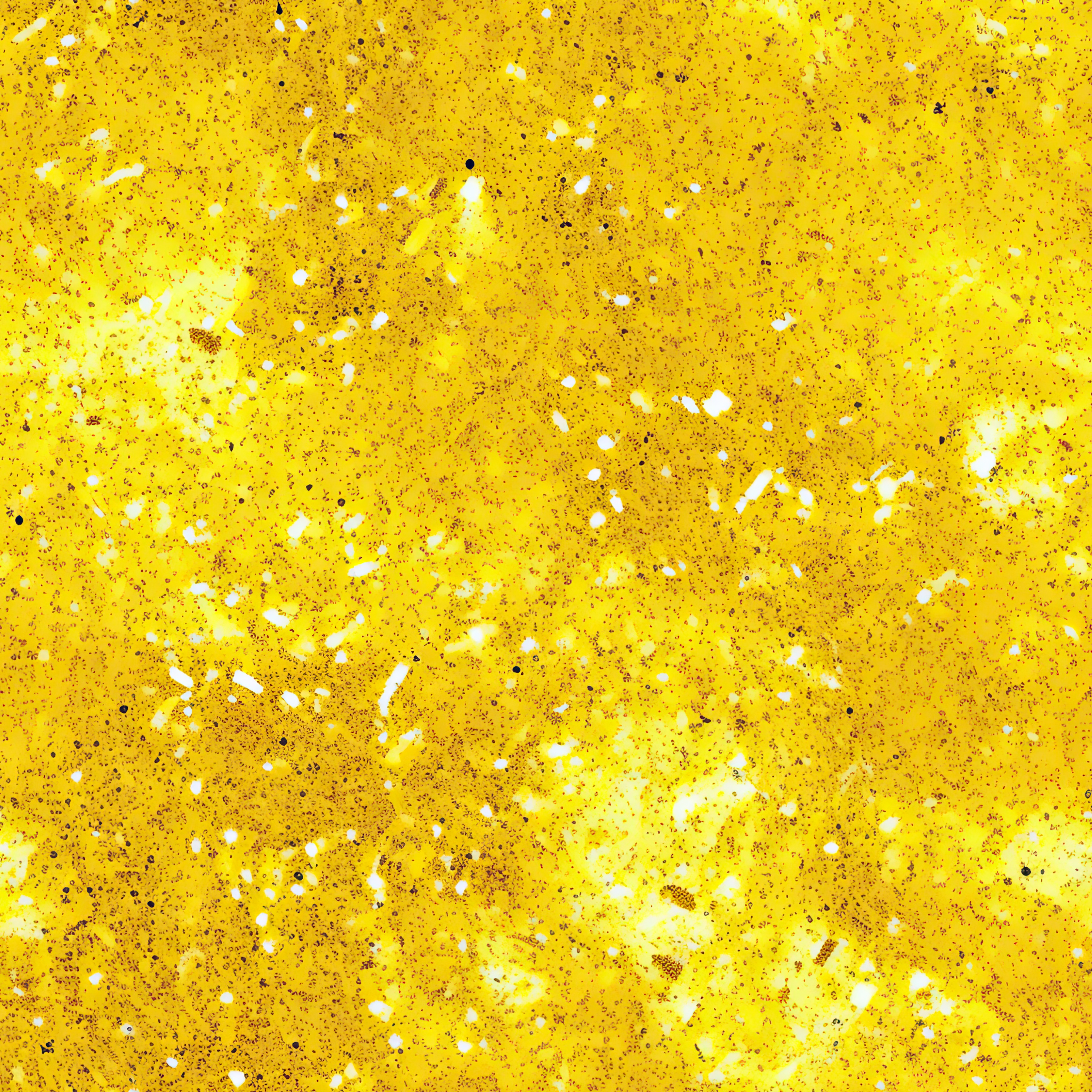 Make Your Own Gang Sheet – TLC Designs and Customs, LLP